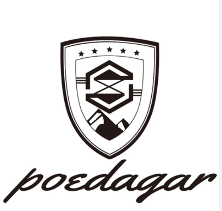 Montre homme élégante – POEDAGAR